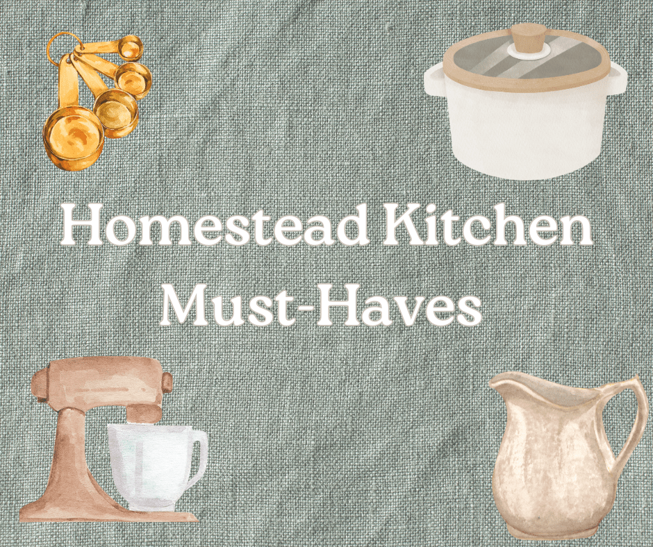 What Do Chickens Eat: A Quick Guide to Poultry Diets - Hatten Homestead